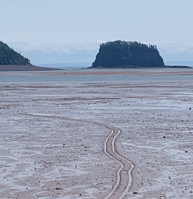 Low Tide Textures and Colours… – Tide Rollers & Mudlarkers…