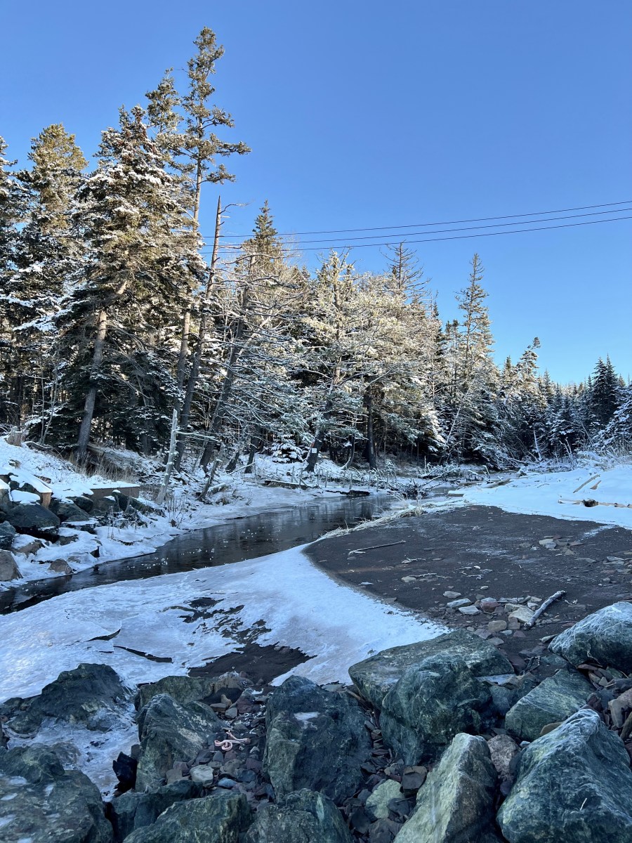 Recipe for a Great Sunday – Tide Rollers & Mudlarkers…