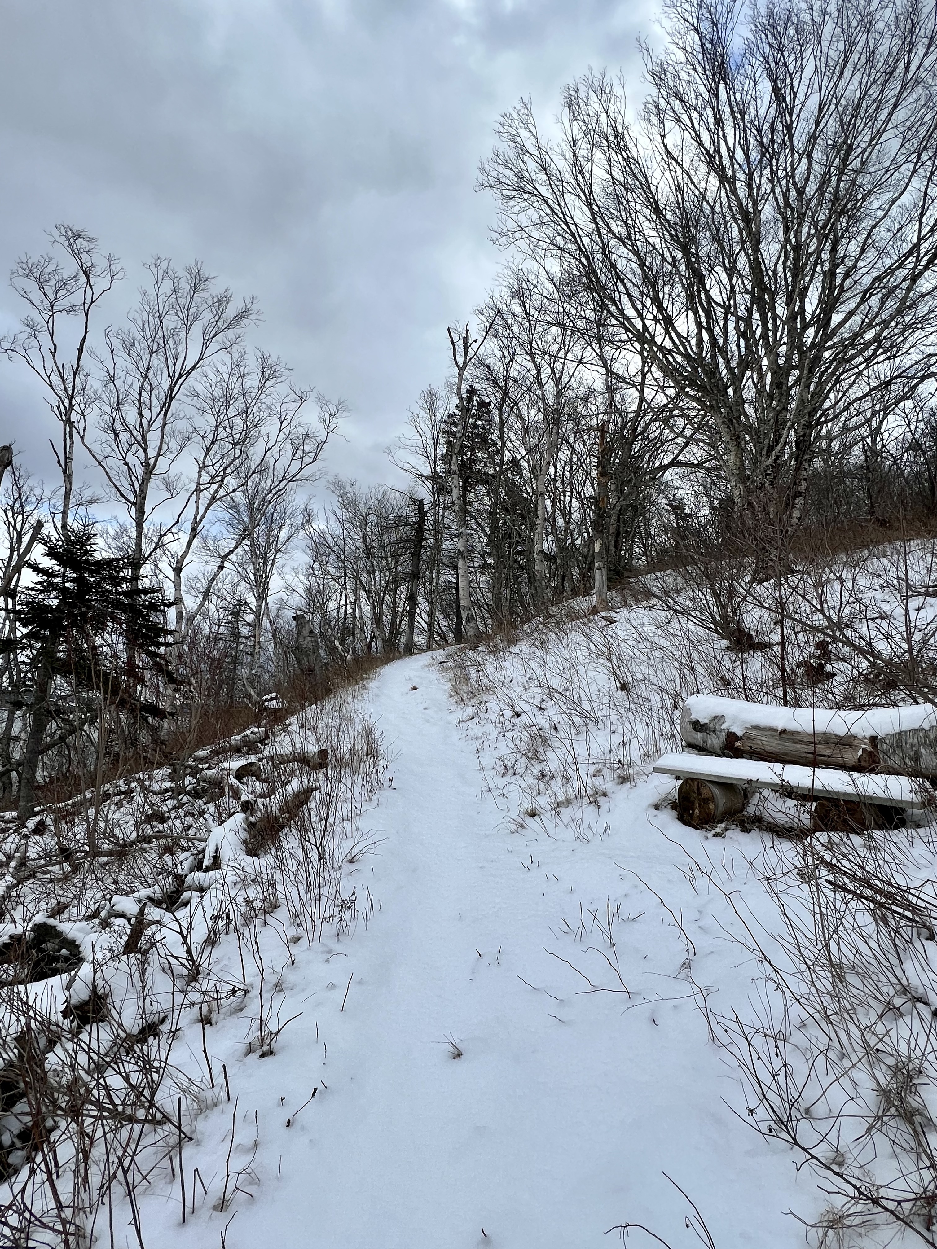 Partridge Island Hike Impressions – Tide Rollers & Mudlarkers…
