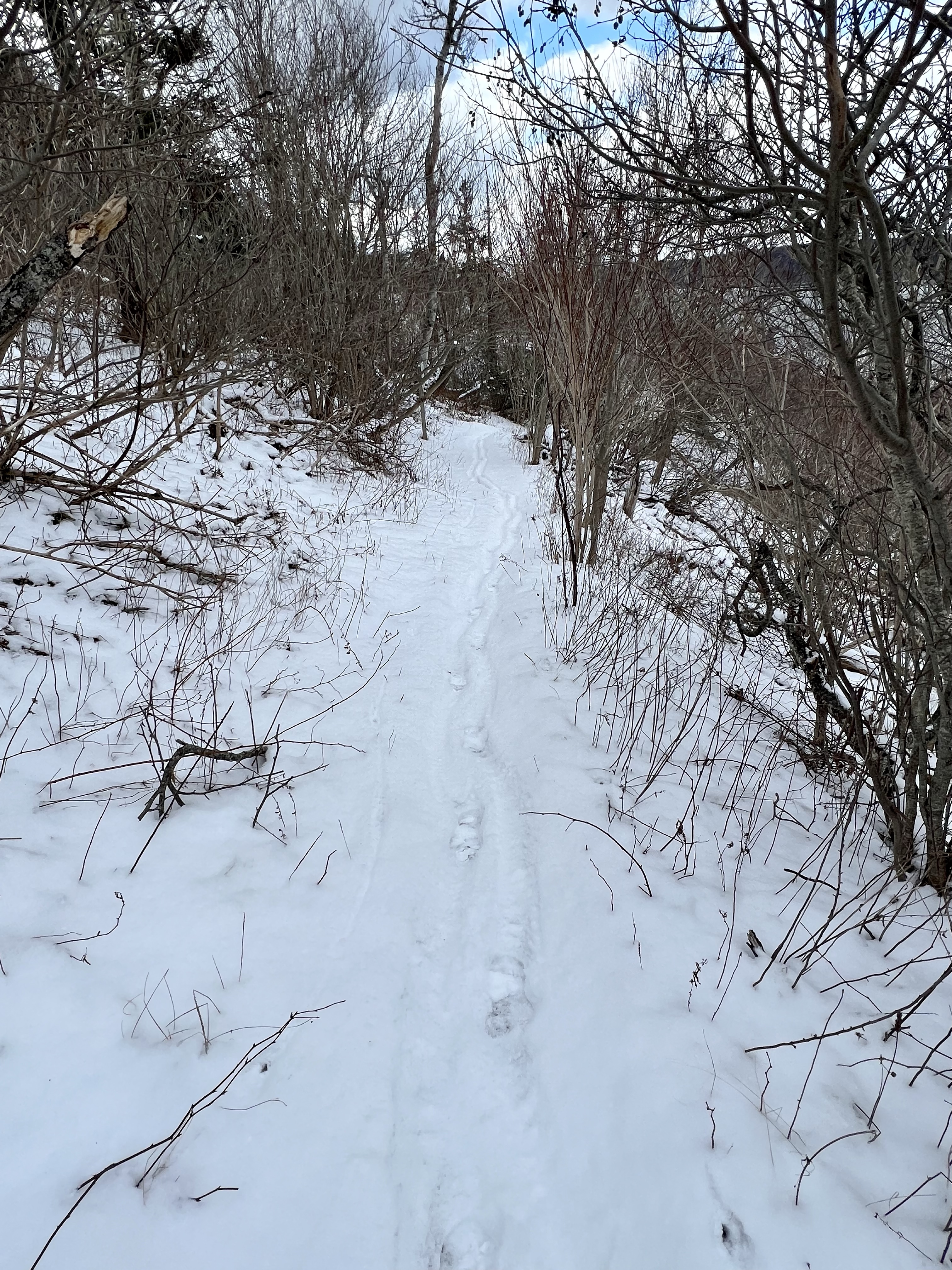 Partridge Island Hike Impressions – Tide Rollers & Mudlarkers…