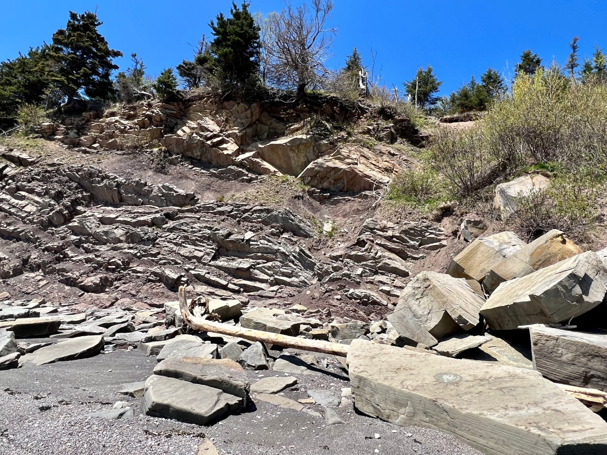 Fox Point Beach to Diligent River – Tide Rollers & Mudlarkers…