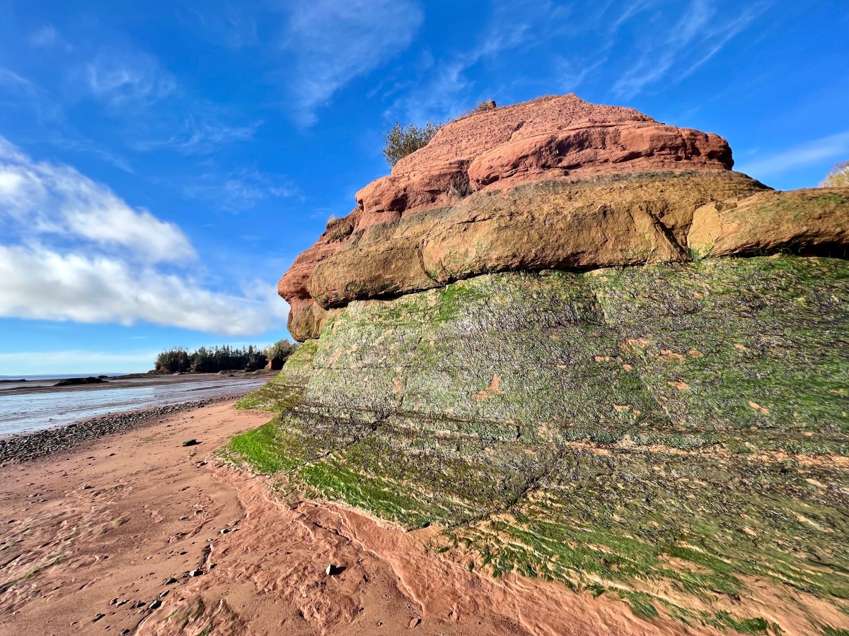 Red Cliffs along the Cliffs of Fundy Global UNESCO Geopark – Tide ...