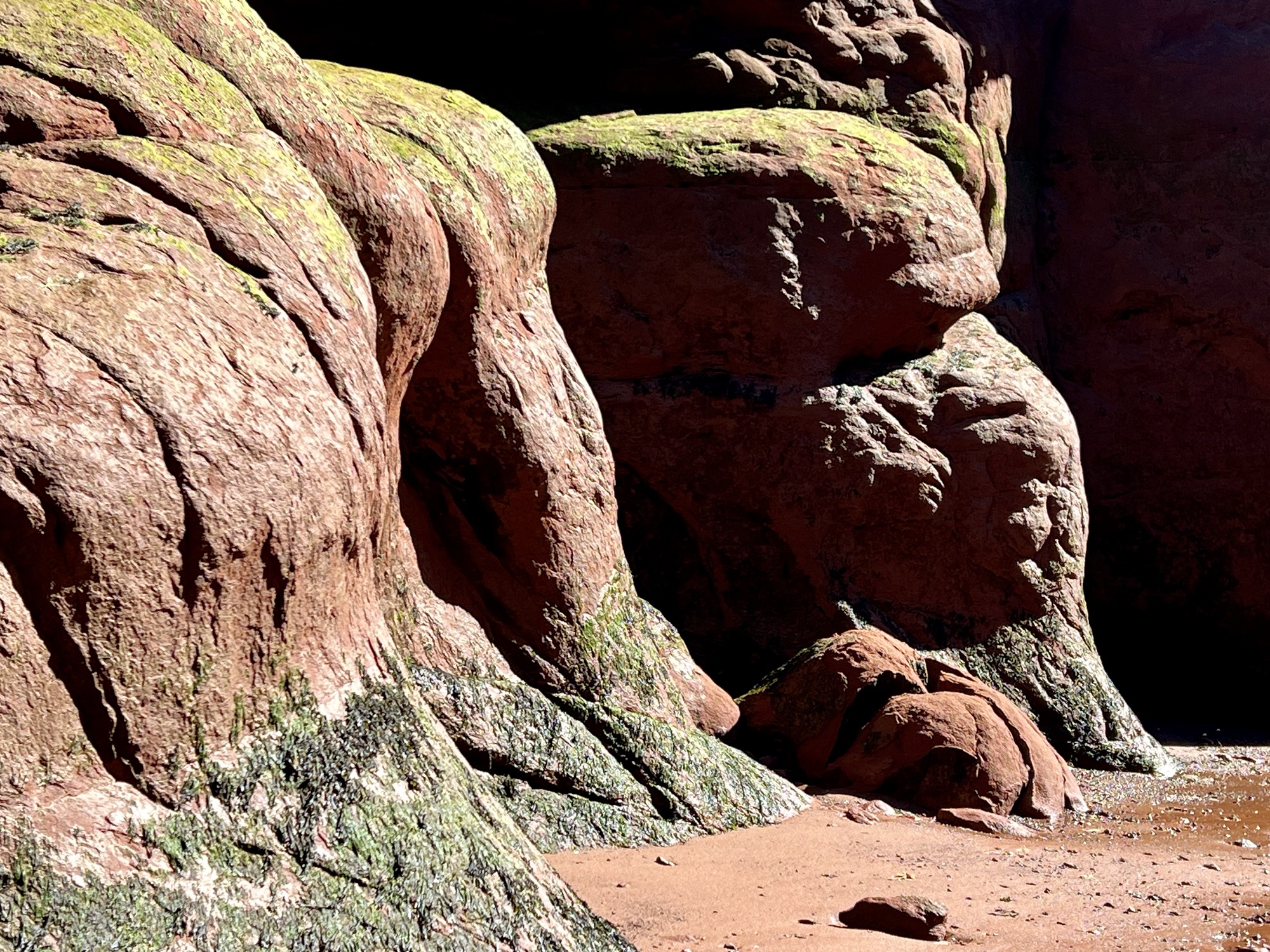 Rock Faces – Tide Rollers & Mudlarkers…