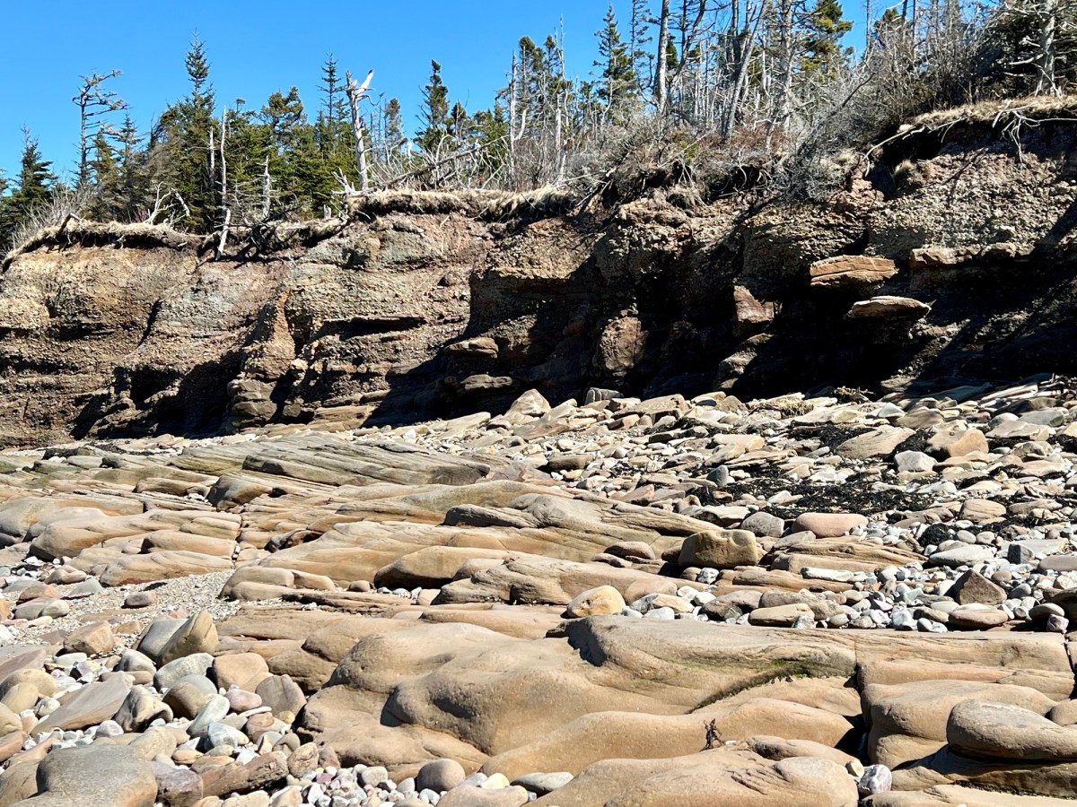 Ravenhead Wilderness Area Hike – Tide Rollers & Mudlarkers…