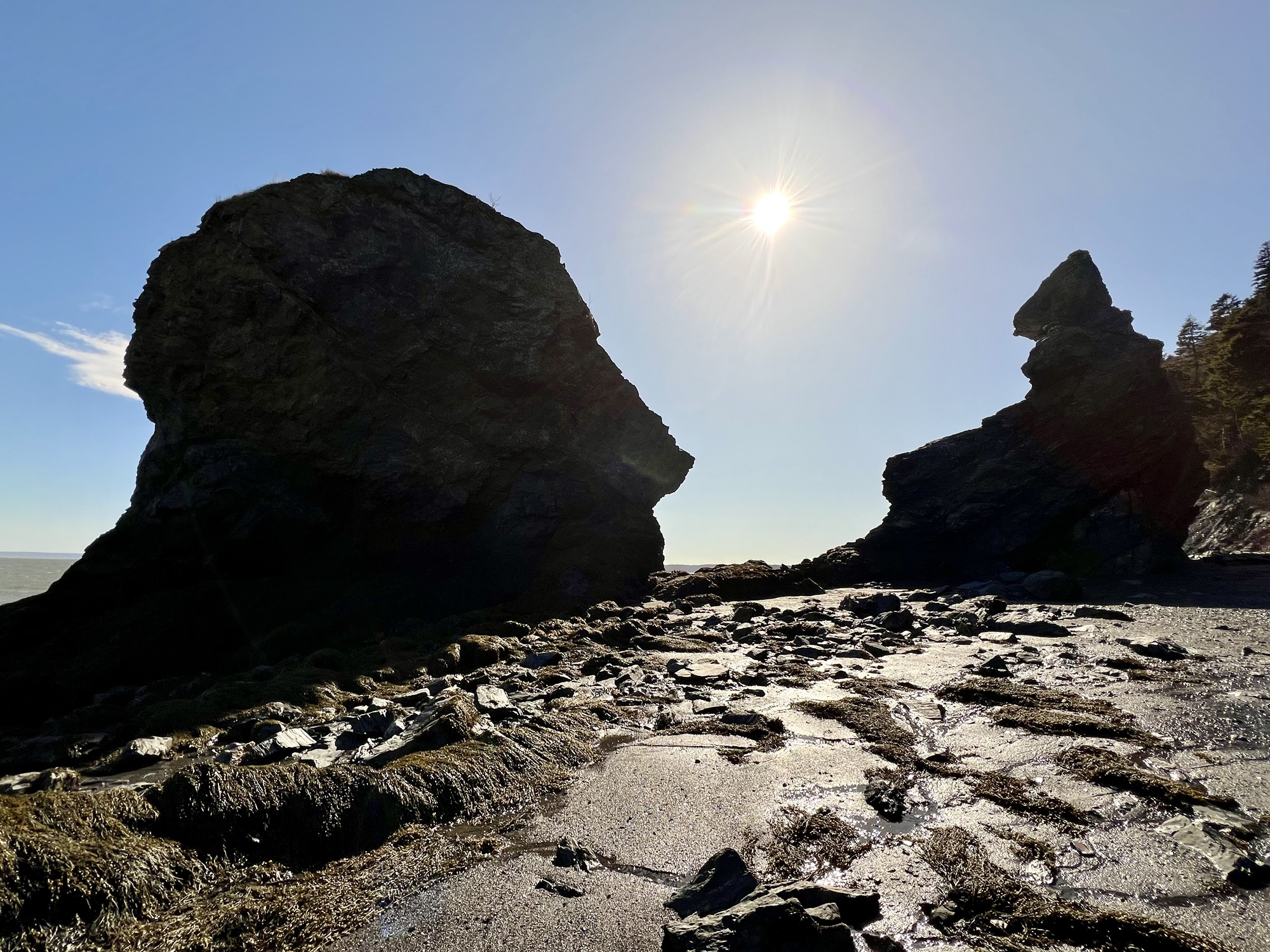 Sun & Beach – Tide Rollers & Mudlarkers…