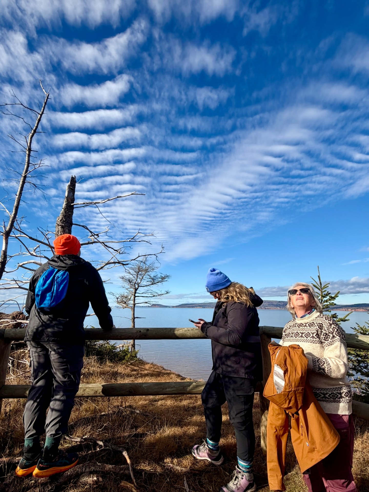 Hike & Savour Tour – Tide Rollers & Mudlarkers…